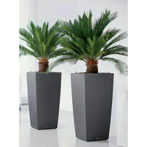 Square Frp Pot - Color: Grey at Best Price in New Delhi | Fiber Layer