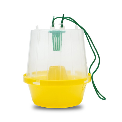 Fly Trap - Material: Plastic at Best Price in Indore | The Natura World