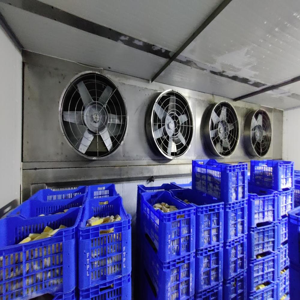 Blast Freezer at 1500000.00 INR in Chennai, Tamil Nadu | Ramtech Refrigeration Pvt Ltd