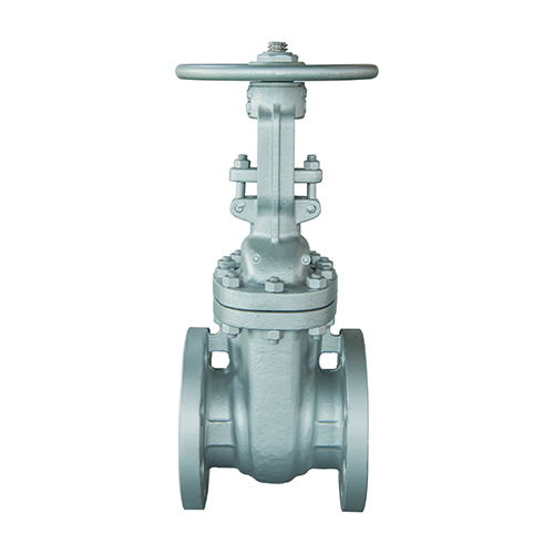 Ss304 Ci Body Casting Wedge Gate Valve - Color: Silver at Best Price in ...