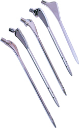 Modular Hip Prosthesis at Best Price in Valsad, Gujarat | Orthotech