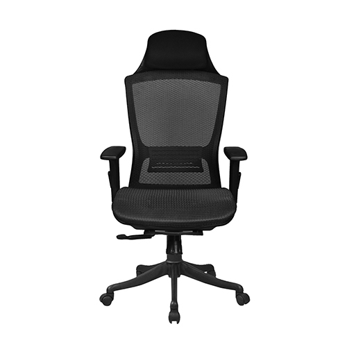 Ruby High Back Executive Chair - Color: Different Available at Best ...