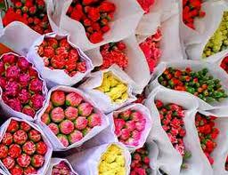 Fresh Cut Rose Flowers at Best Price in Chennai | R J N Exports
