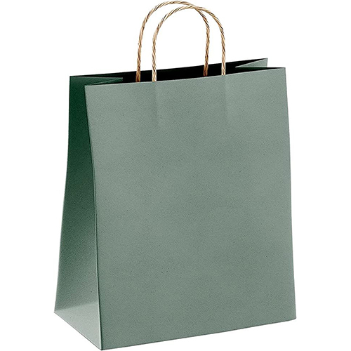 Paper Bag - Color: Black at Best Price in New Delhi | Elegance Asia