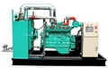 Cng Generator at Best Price in Delhi, Delhi | Chroma Power System India ...