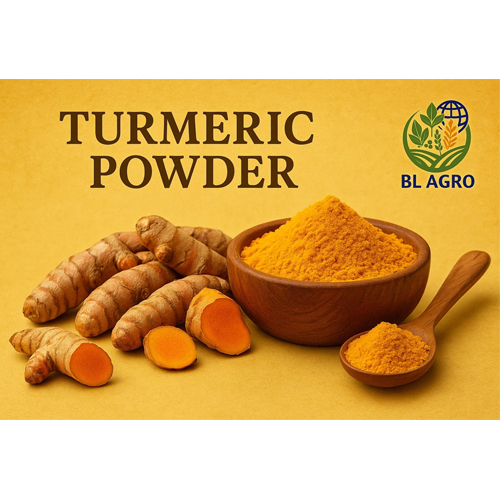 Turmeric Powder - Color: Yellow at Best Price in Jaipur | Bum Lehri Agro
