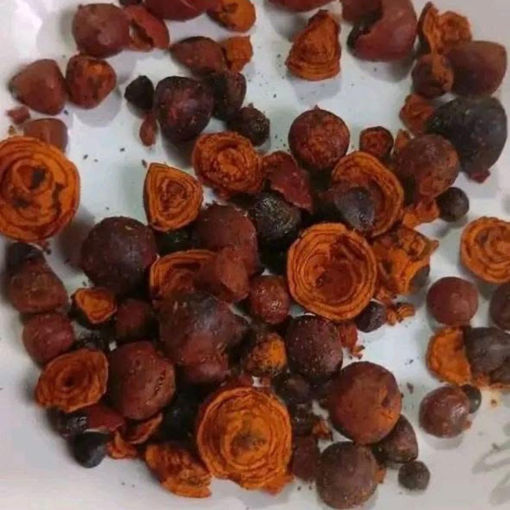 Dried Natural Cow Ox Gallstones | Cattle Gallstones For Sale - Capacity ...