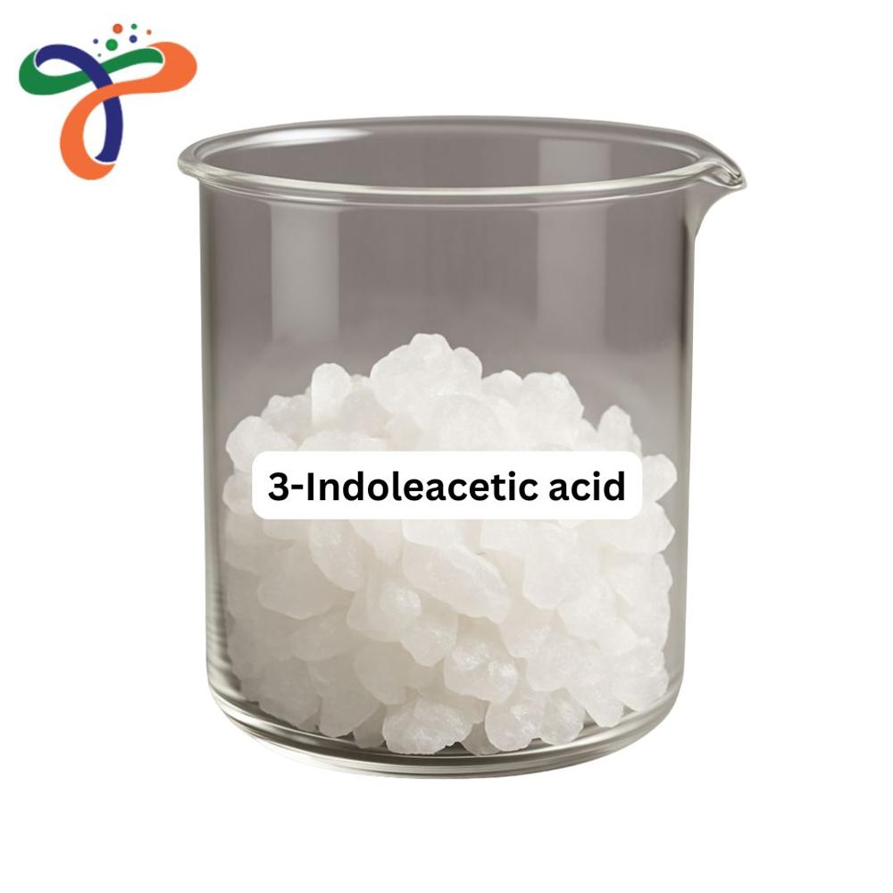 3-indoleacetic Acid - Application: Industrial at Best Price in Vapi ...