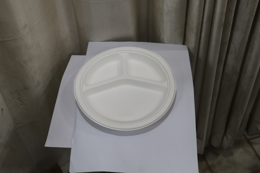 9 Inch Round Bagasse Disposable Plate at 3.15 INR at Best Price in ...