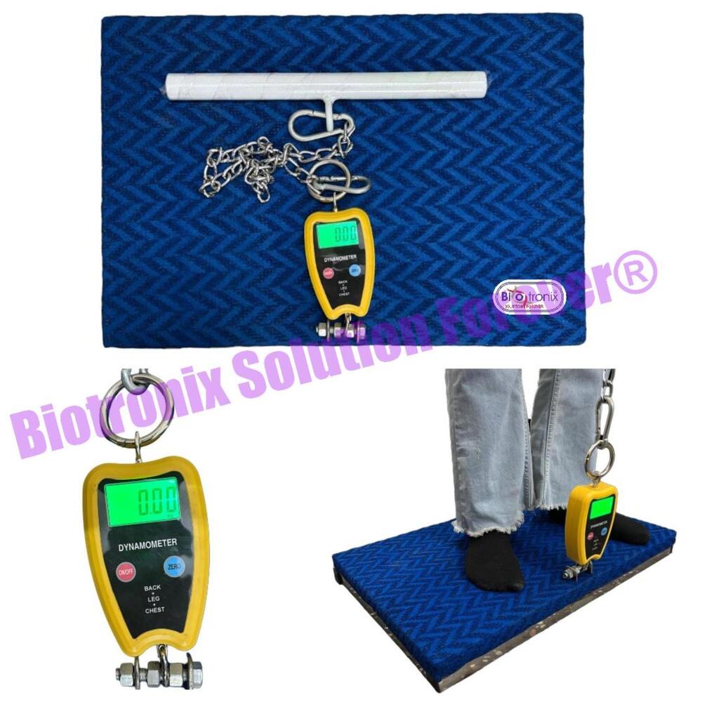 Back, Leg And Chest Dynamometer For Clinical & Fitness Strength ...