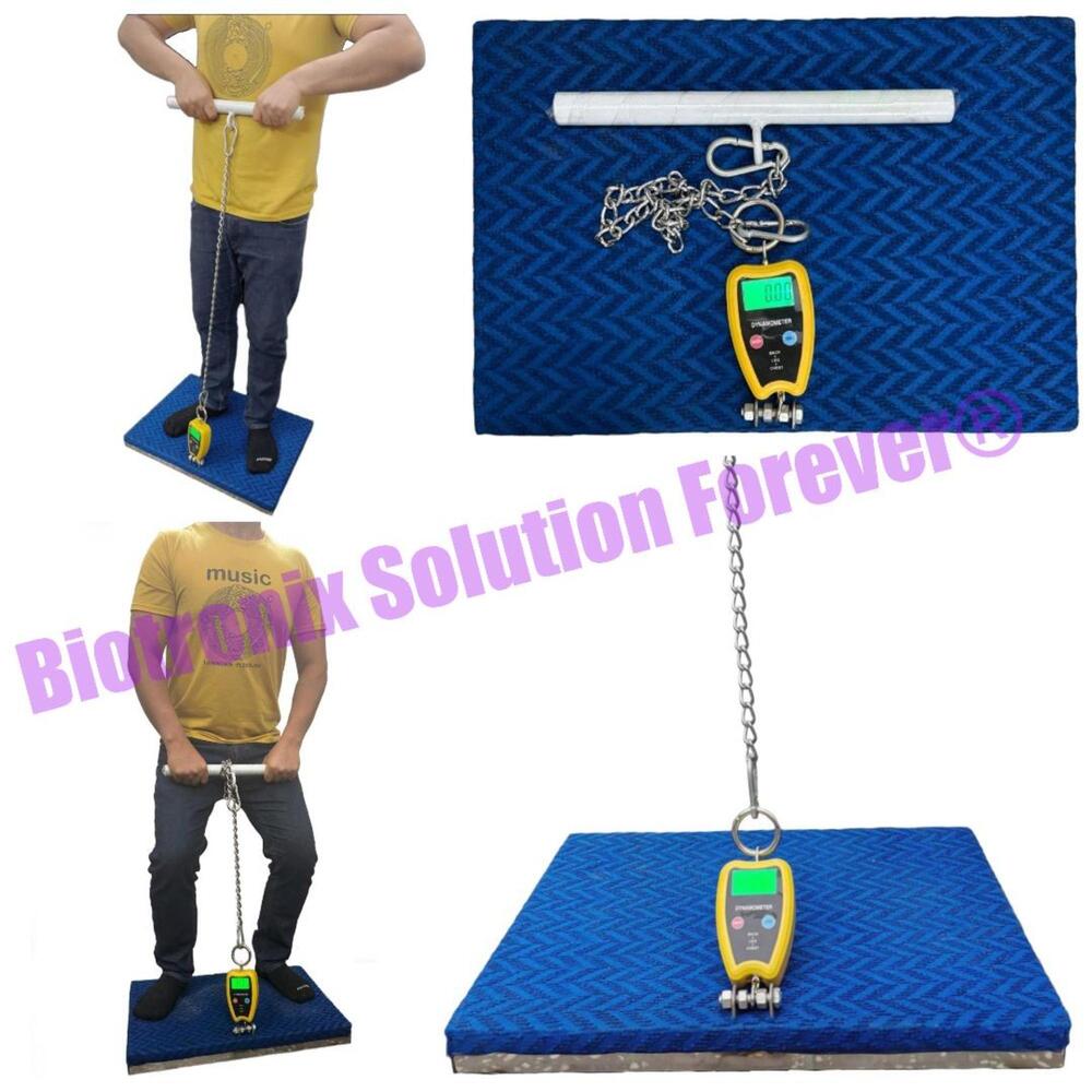 Back, Leg And Chest Dynamometer For Clinical & Fitness Strength ...