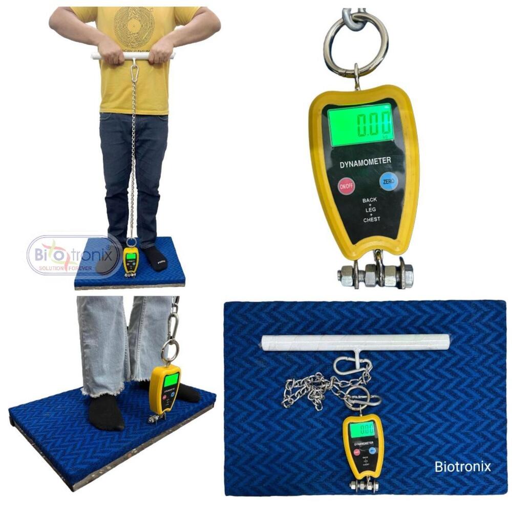 All-in-one Back Leg Chest Dynamometer For Physiotherapy Assessment at ...