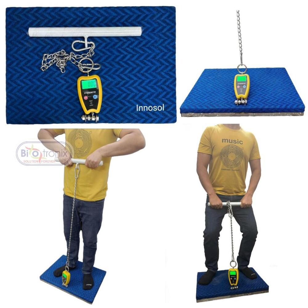 All-in-one Back Leg Chest Dynamometer For Physiotherapy Assessment at ...