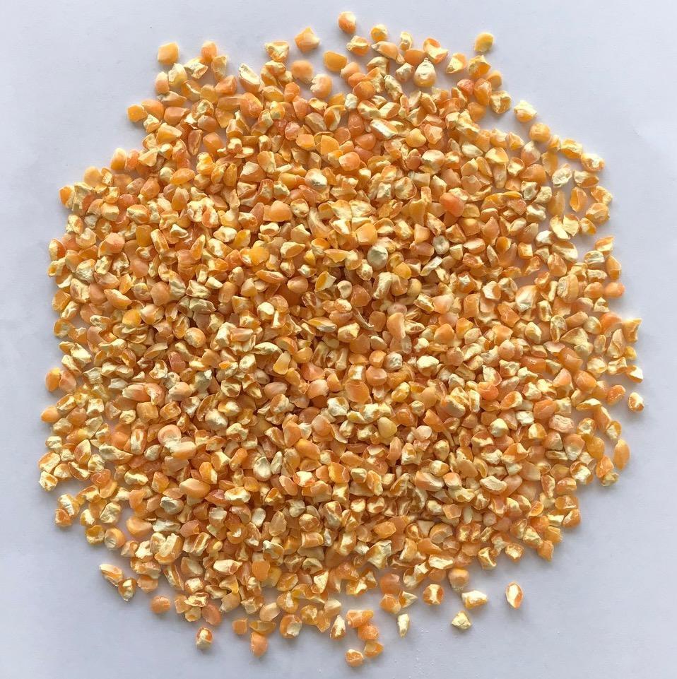 Yellow Corn Seeds - Cultivation Type: Organic - Cultivation Type ...