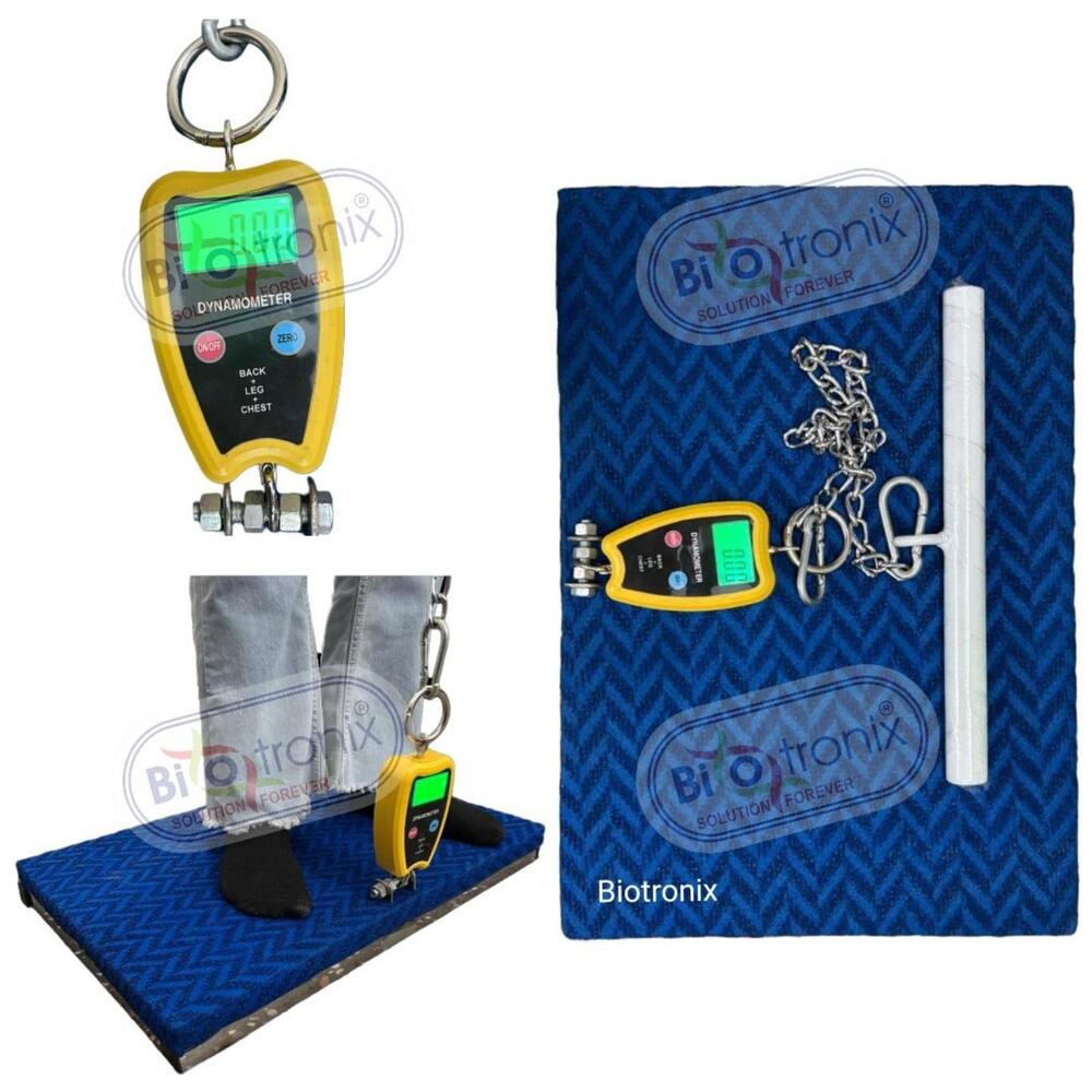 Advanced Muscle Strength Testing System-back, Leg & Chest at 525.00 INR ...