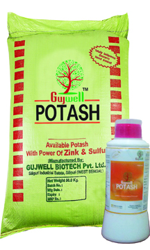 Potash Fertilizer at Best Price in Rajkot, Gujarat | Gujwell Biotech ...