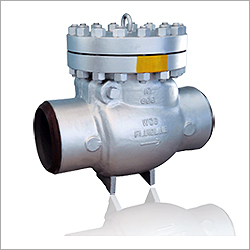 Swing Check Valves at Best Price in Mohali, Punjab | Lcg Flow Controls