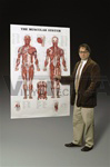 The Muscular System Giant Anatomical Chart at Best Price in Ambala ...