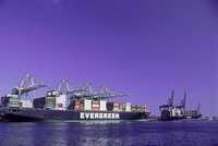 Custom Logistic Services at Best Price in New Delhi, Delhi | Nimit ...