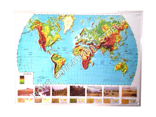 World 3d Raised Relief Map at Best Price in Delhi | Royal Educational ...