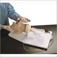 Adult Airway Management Trainer Airway Larry at Best Price in Pune ...