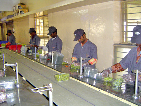 Seedless Grapes at Best Price in Mumbai, Maharashtra | Deccan Edibles ...