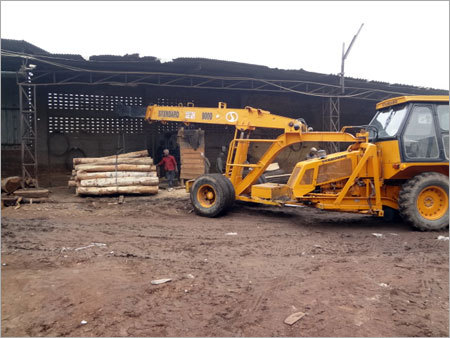 Safeda Tree Wood at Best Price in Gohana, Haryana | Virmani Woods