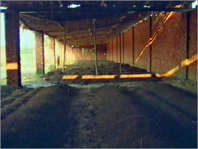 Vermicompost Organic Fertilizer at Best Price in Bagpat, Uttar Pradesh ...