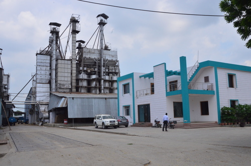 Rice Plant at Best Price in Taraori, Haryana | Shree Hans Rice ...