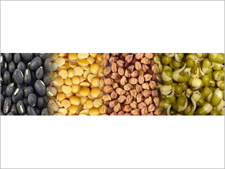 Pulses at Best Price in Jalore, Rajasthan | Rapid Organic Pvt. Ltd.