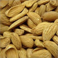 Fresh Almond at Best Price in Jodhpur, Rajasthan | National Food Products