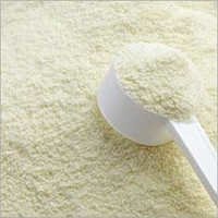 Yogurt Powder at Best Price in Dhule, Maharashtra | Shalimar Food Products