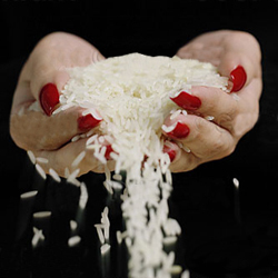 Rice at Best Price in Salem, Tamil Nadu | Rajendra Modern Rice Mill