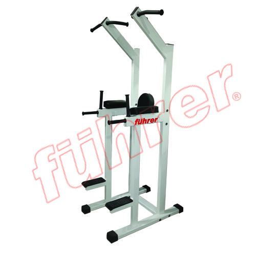 Dip Chin Stand at Best Price in Ludhiana, Punjab | Fuhrer Machines Inc.
