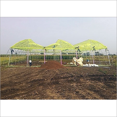 Net Green House at Best Price in Pune, Maharashtra | Sumedh Agro Industry