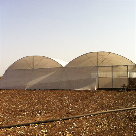 Tunnel Type Polyhouse at Best Price in Pune, Maharashtra | Sumedh Agro ...