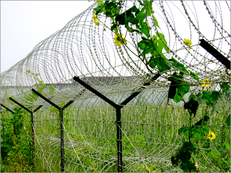 Security Fencing at Best Price in Delhi, Delhi | Concertina Wire Industries