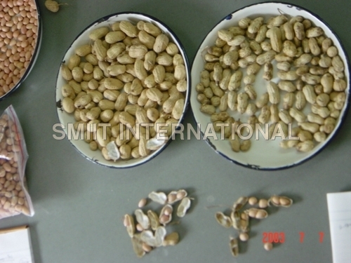 Peanut at Best Price in Junagadh, Gujarat | Smiit International