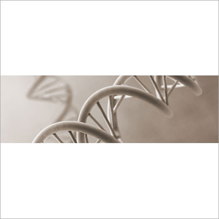 Restriction Endonucleases Grade: Chemical at Best Price in New Delhi ...