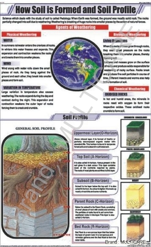 Soil Profile & Formation Chart at Best Price in New Delhi | Multicare ...