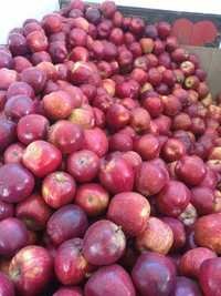 Apples Cold Storage at Best Price in Panch Mahals, Gujarat | Shree Agro ...