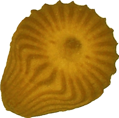 American Diamond Biscuit at Best Price in Dehradun, Uttarakhand ...