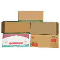 Fruit Carton Boxes at Best Price in Pune, Maharashtra | Rmr Group