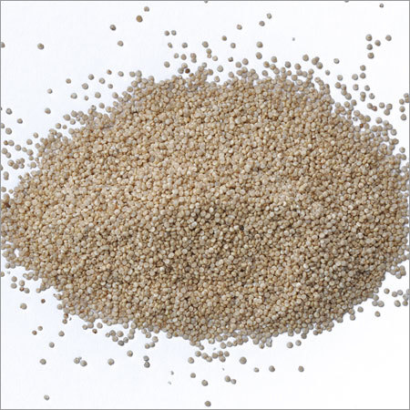 Quinoa Powder at Best Price in Nandyal, Andhra Pradesh | Freshcalm