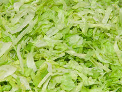 Fresh Cut Iceberg Lettuce at Best Price in Noida | Madd Foods