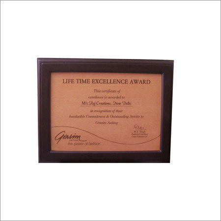 Brown Momentous Shield at Best Price in Delhi, Delhi | Jh Ads