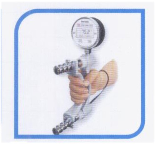 Mild Steel Saehan Digital Hand Dynamometer With Software Dhd -3 at Best ...