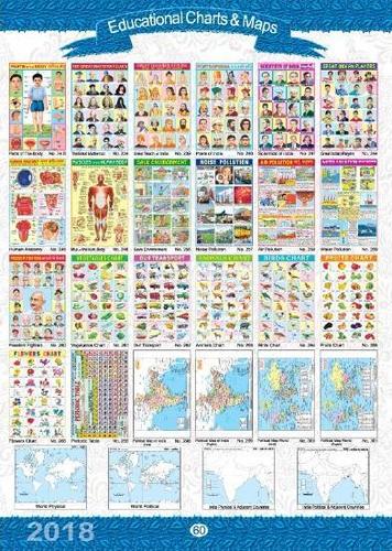 Educational Charts & Maps - Paper, 2-3 Mm Thickness , Smooth Finish ...