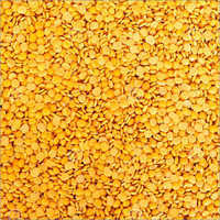 Toor Dal at Best Price in New Delhi, Delhi | Nexus Fashions Pvt. Ltd.