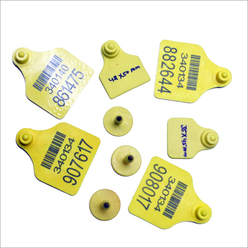 Veterinary Ear Tags at Best Price in Delhi, Delhi | Asian Cattle ...